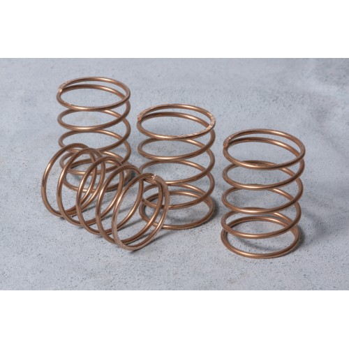 ZD 900 Valve spring 8-52